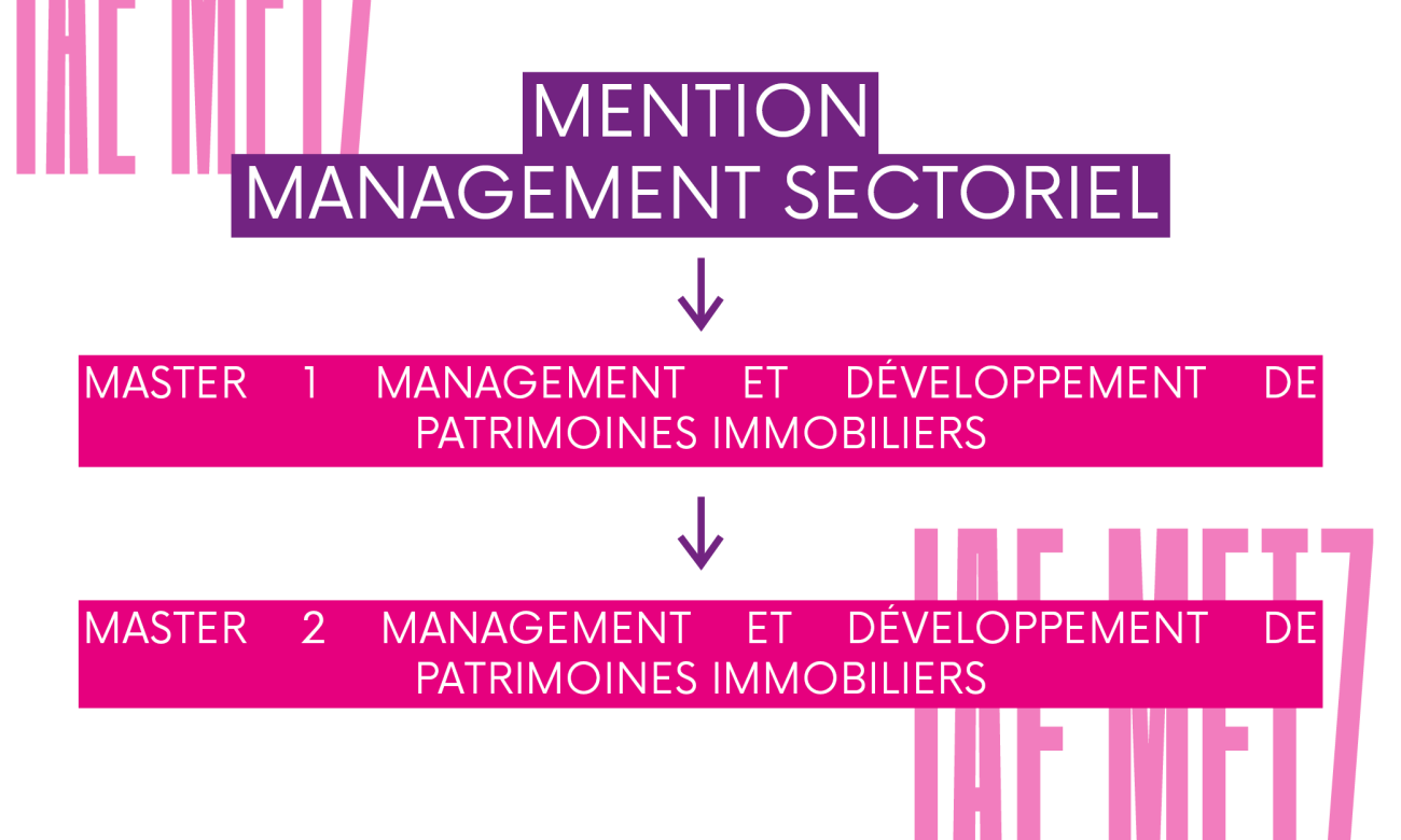 Master 2 Management et Développement de Patrimoines Immobiliers | IAE ...